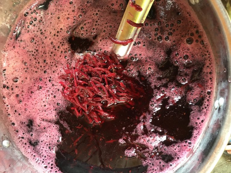 Dye wool with beets! – gage hill crafts