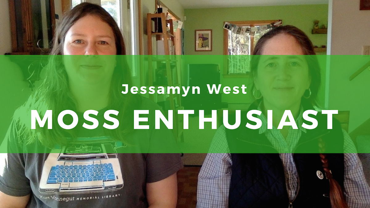 11: Jessamyn West, Moss enthusiast – gage hill crafts