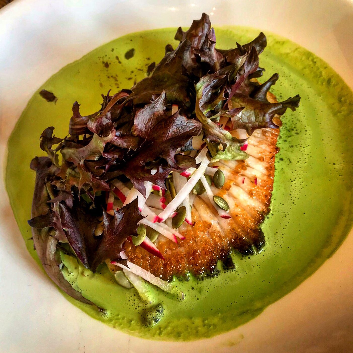 20: Wild Roots - Local ingredients, inspired flavors - gage hill crafts