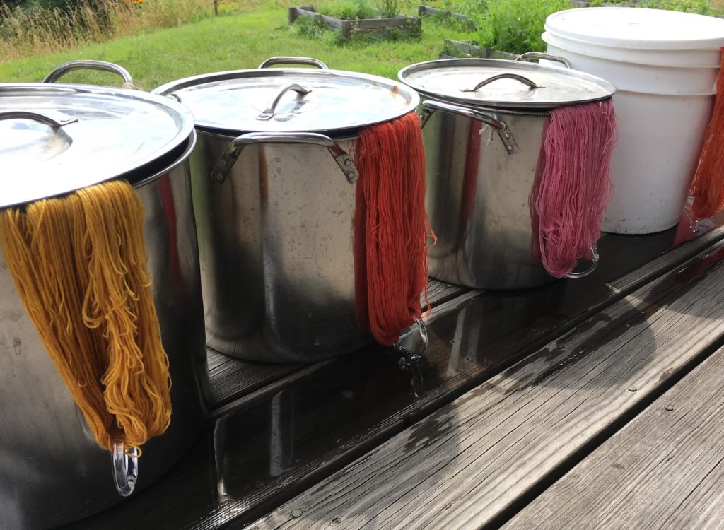 Dip Dye Yarn: An easy technique creates striped or variegated effects ...